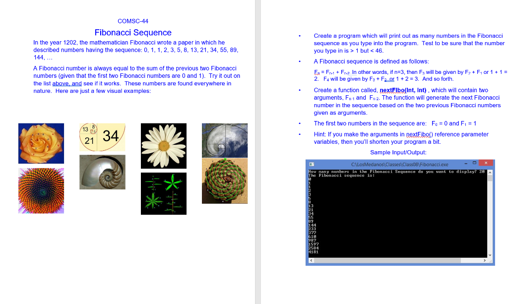 Solved COMSC-44 Fibonacci Sequence In the year 1202, the | Chegg.com Solved COMSC-44 Fibonacci Sequence In the year 1202, the | Chegg.com