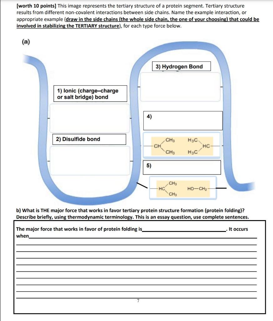 Solved [worth 10 points] This image represents the tertiary | Chegg.com