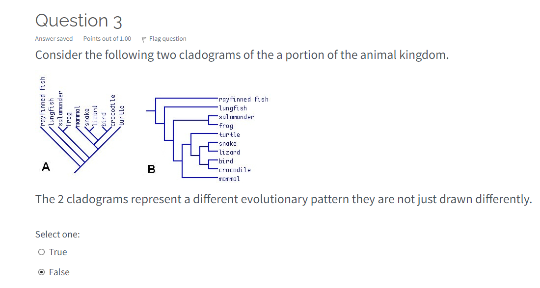 Solved Consider the following two cladograms of the a | Chegg.com