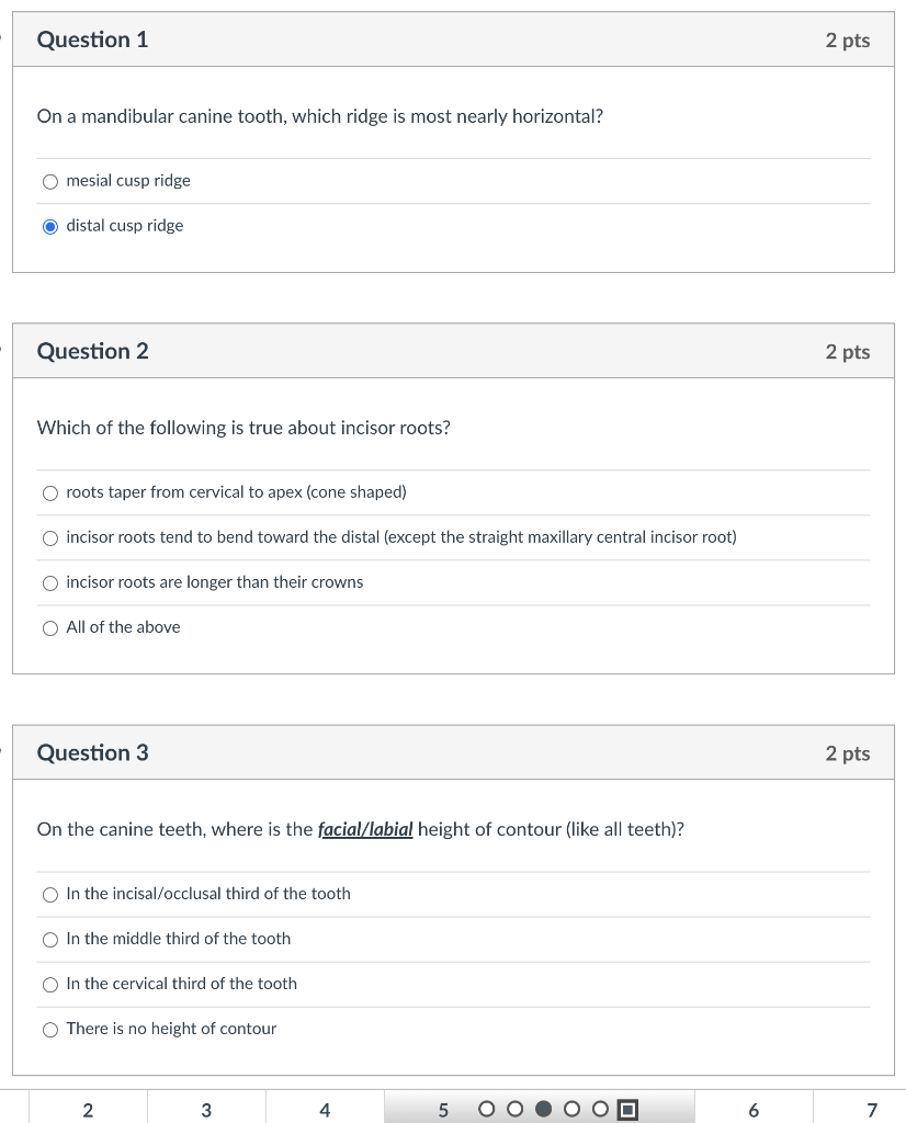 Solved On a mandibular canine tooth, which ridge is most | Chegg.com