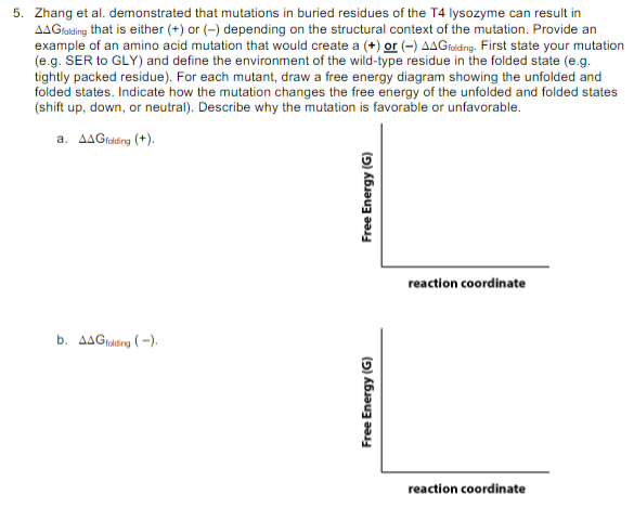 Solved 5. Zhang et al. demonstrated that mutations in buried | Chegg.com