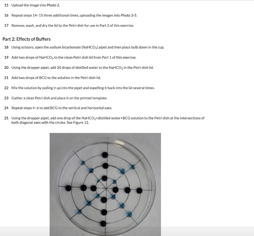 Exercise 1 - Questions 1. Explain how the Petri dish | Chegg.com