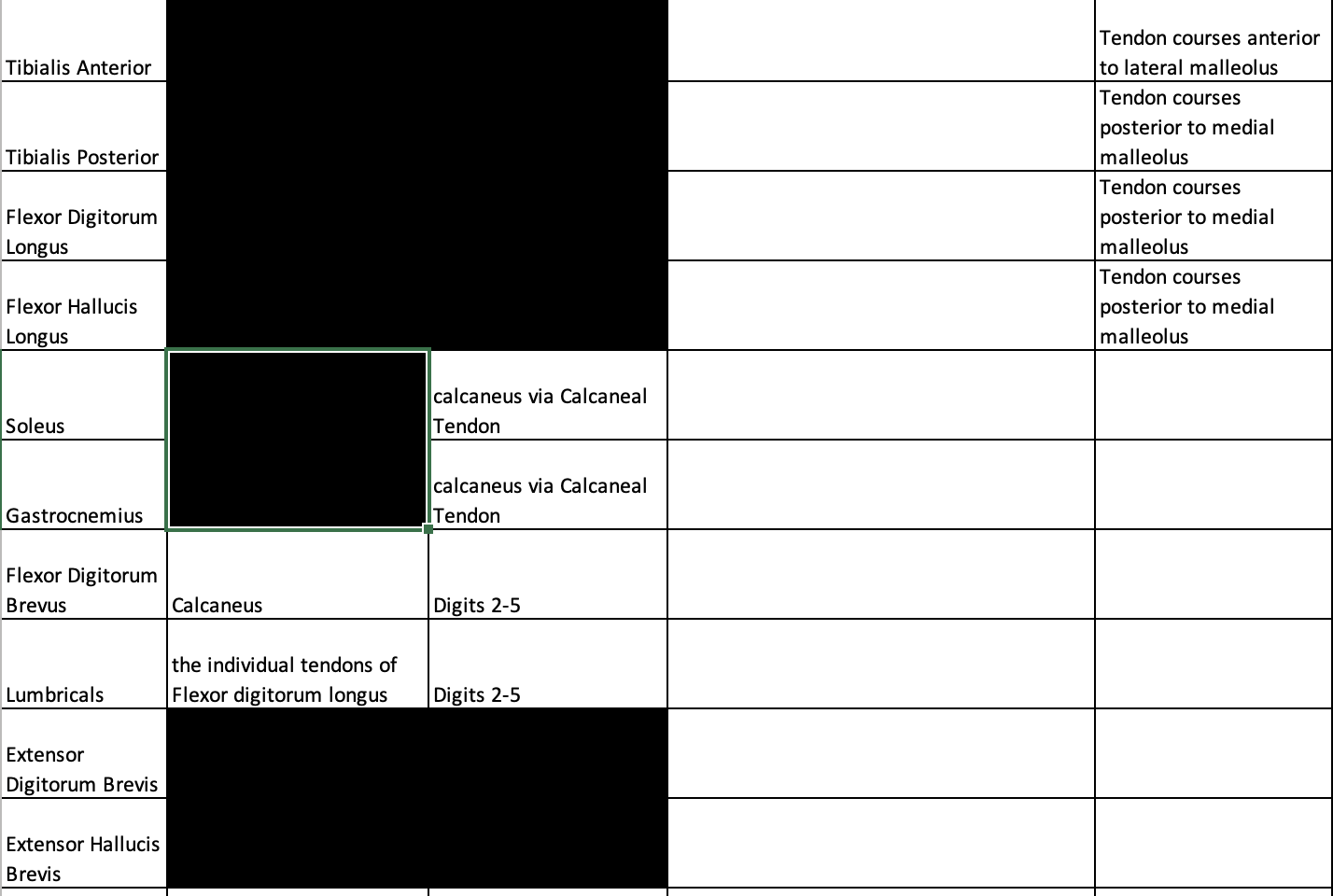 Solved Upper Extremity Muscle Chart | Chegg.com