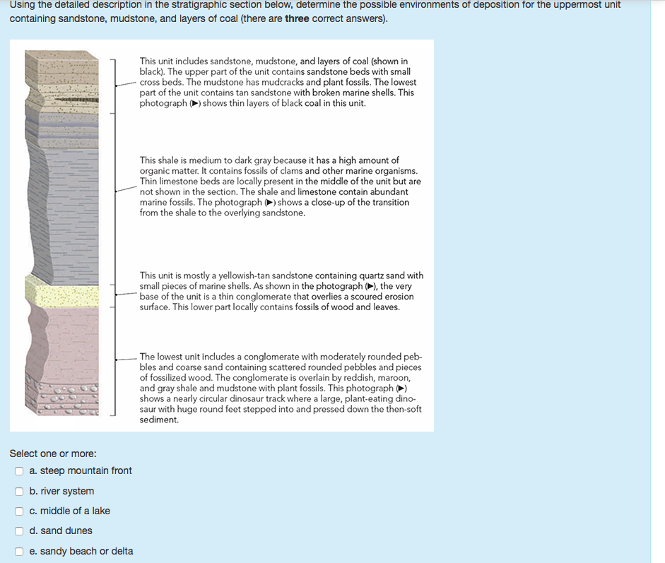 Solved Using the detailed description in the stratigraphic | Chegg.com