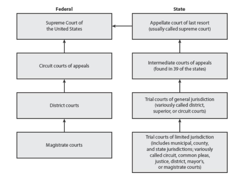 Solved Generally, explain the over-view of court structure | Chegg.com