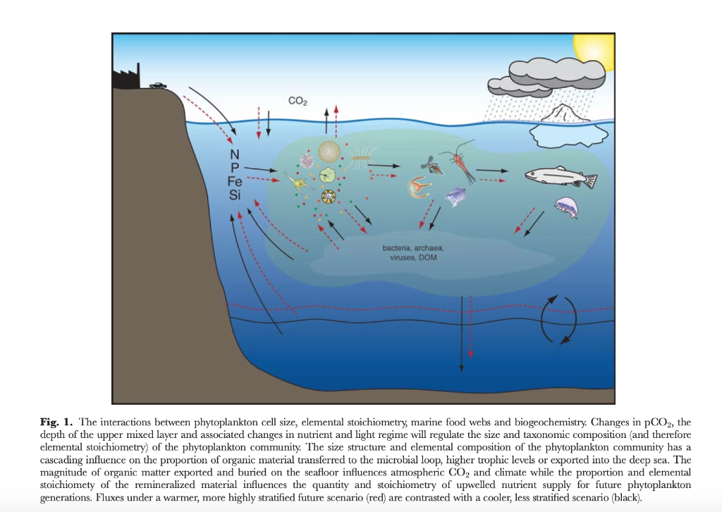 Solved I need help with understanding each process | Chegg.com