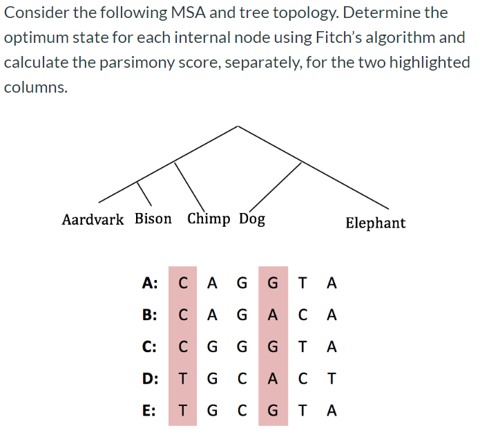 Consider the following MSA and tree topology. | Chegg.com