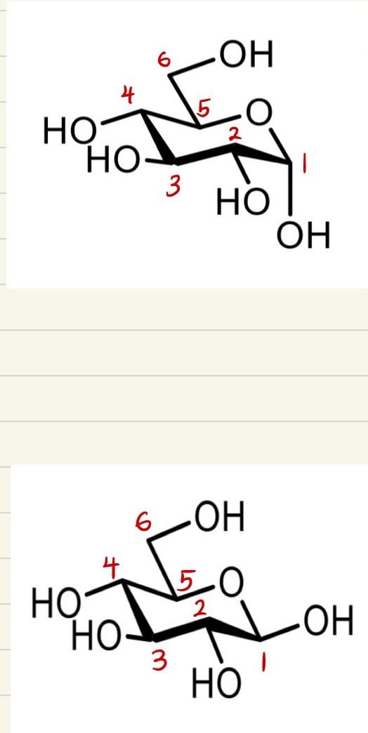 Solved Draw Newman projections looking down the C1-C2 bond | Chegg.com