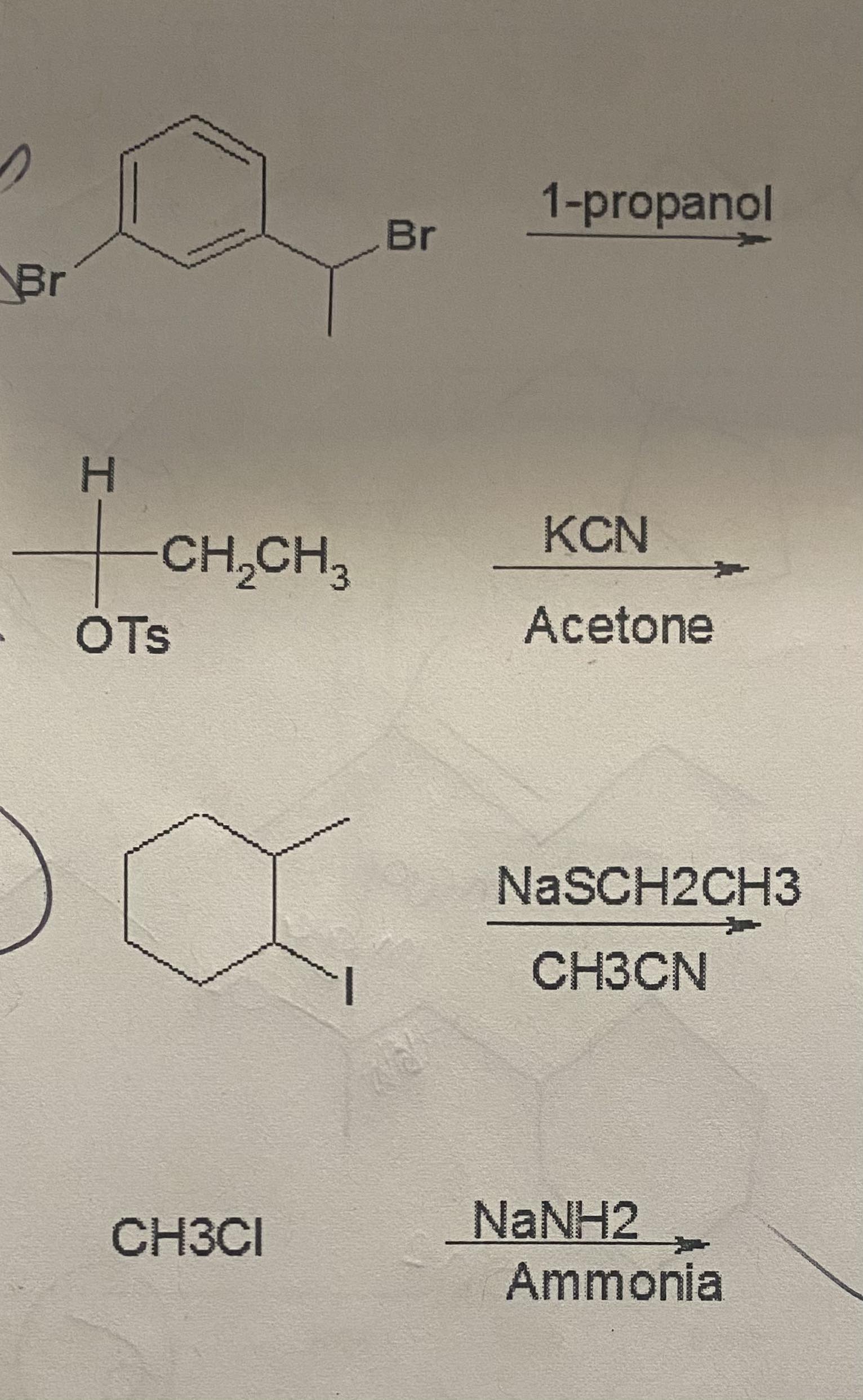 Solved DRAW the major product for the following reactions | Chegg.com