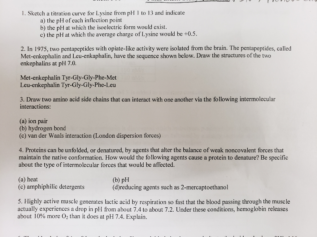 Solved 1. Sketch a titration curve for Lysine from pH 1 to | Chegg.com