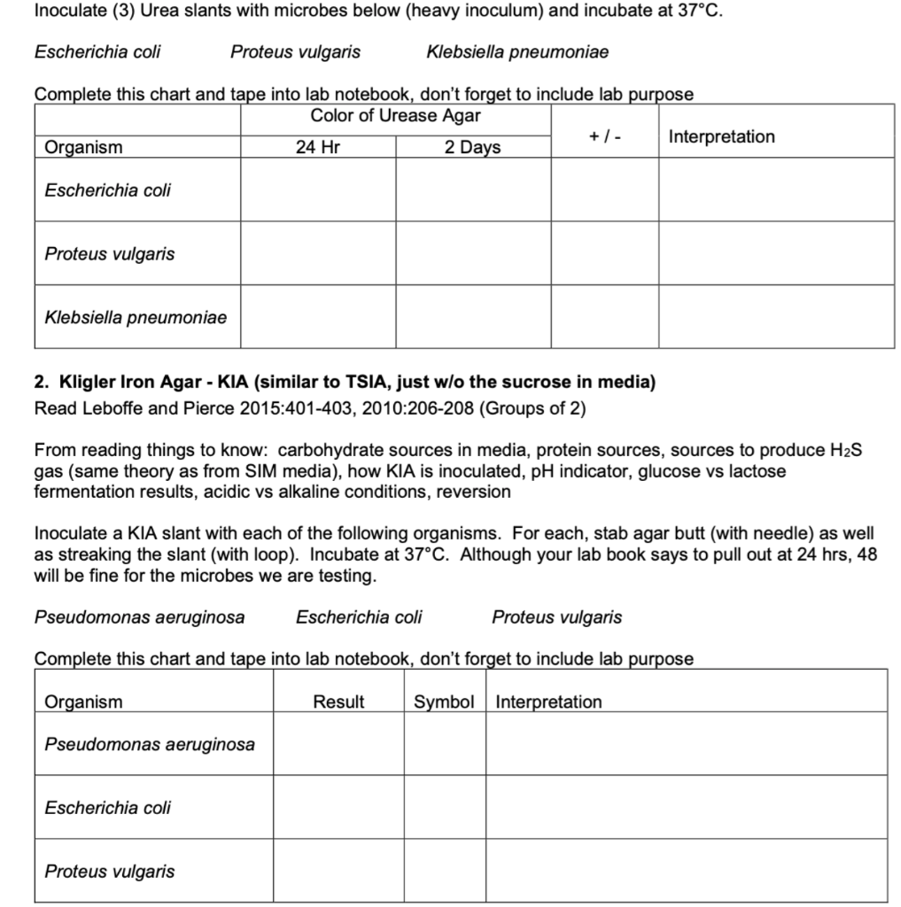 Solved Inoculate (3) Urea slants with microbes below (heavy | Chegg.com