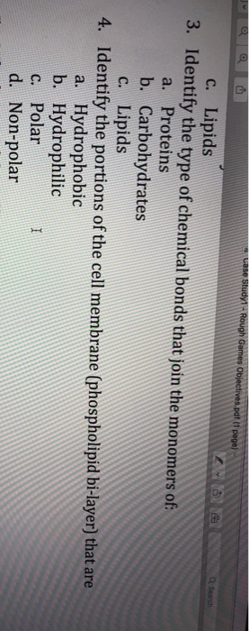 Solved s.pdf (1 pege) c. Lipids 3. Identify the type of | Chegg.com Solved s.pdf (1 pege) c. Lipids 3. Identify the type of | Chegg.com