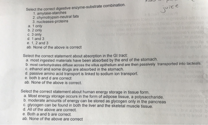 Solved Select The Correct Digestive Enzyme Substrate