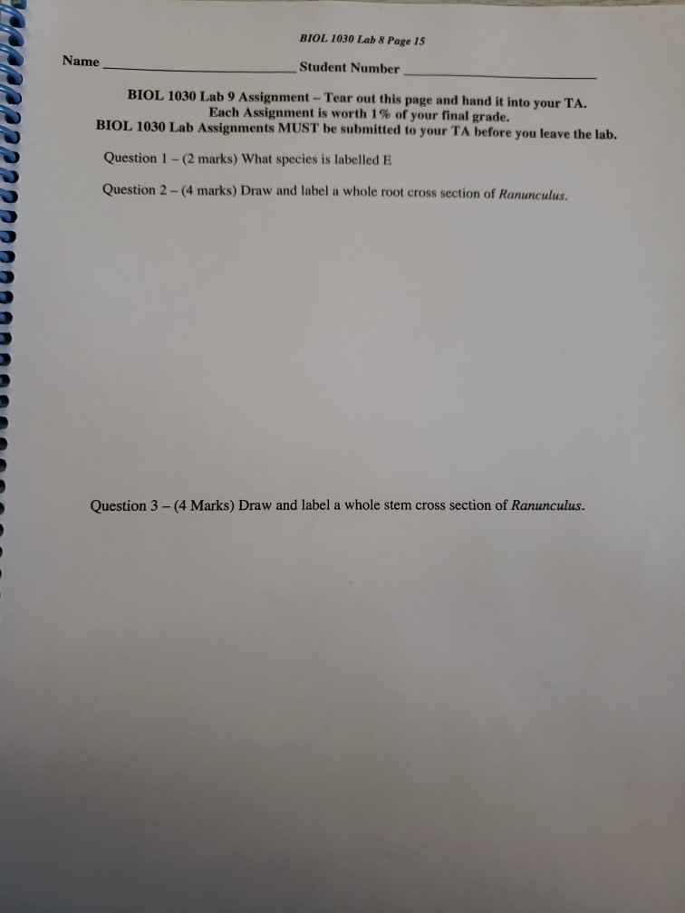 Solved BIOL 1030 Lab 8 Page 15 Name Student Number BIOL 1030 | Chegg.com