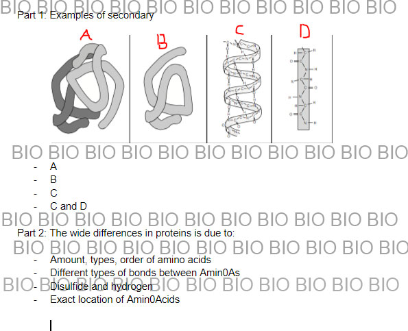 Solved Bipart Examples of secondarIO BIO BIO BIO BIO BIO BIO | Chegg.com