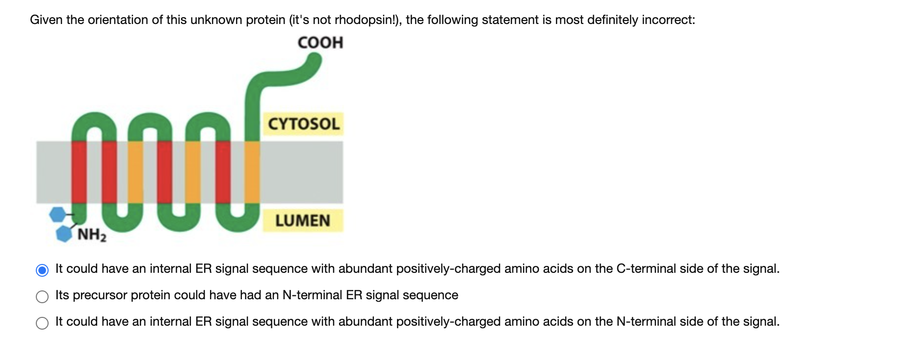 Solved Where would the C-terminal of this membrane protein | Chegg.com