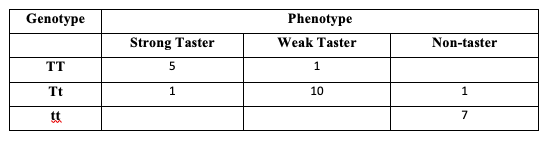 Solved Genotype Phenotype Weak Taster Strong Taster | Chegg.com