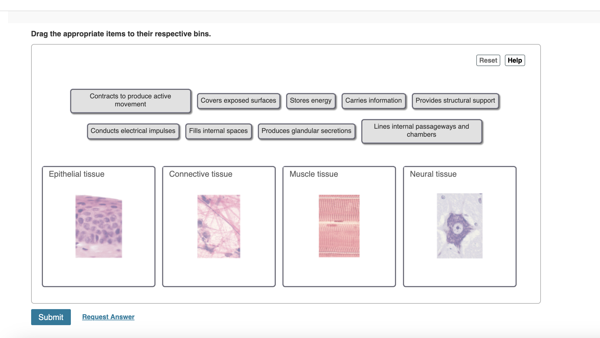 Solved Drag the appropriate items to their respective bins. | Chegg.com