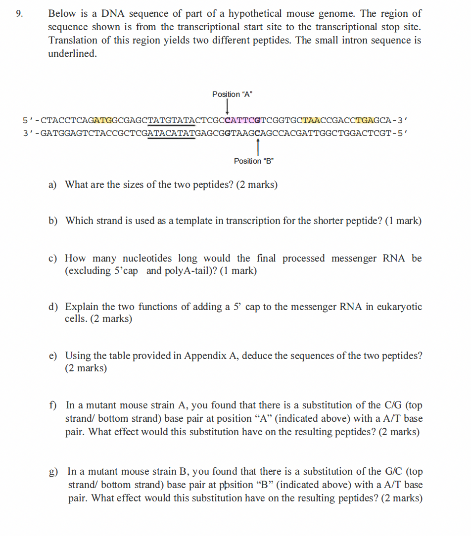 Solved 9. Below is a DNA sequence of part of a hypothetical | Chegg.com