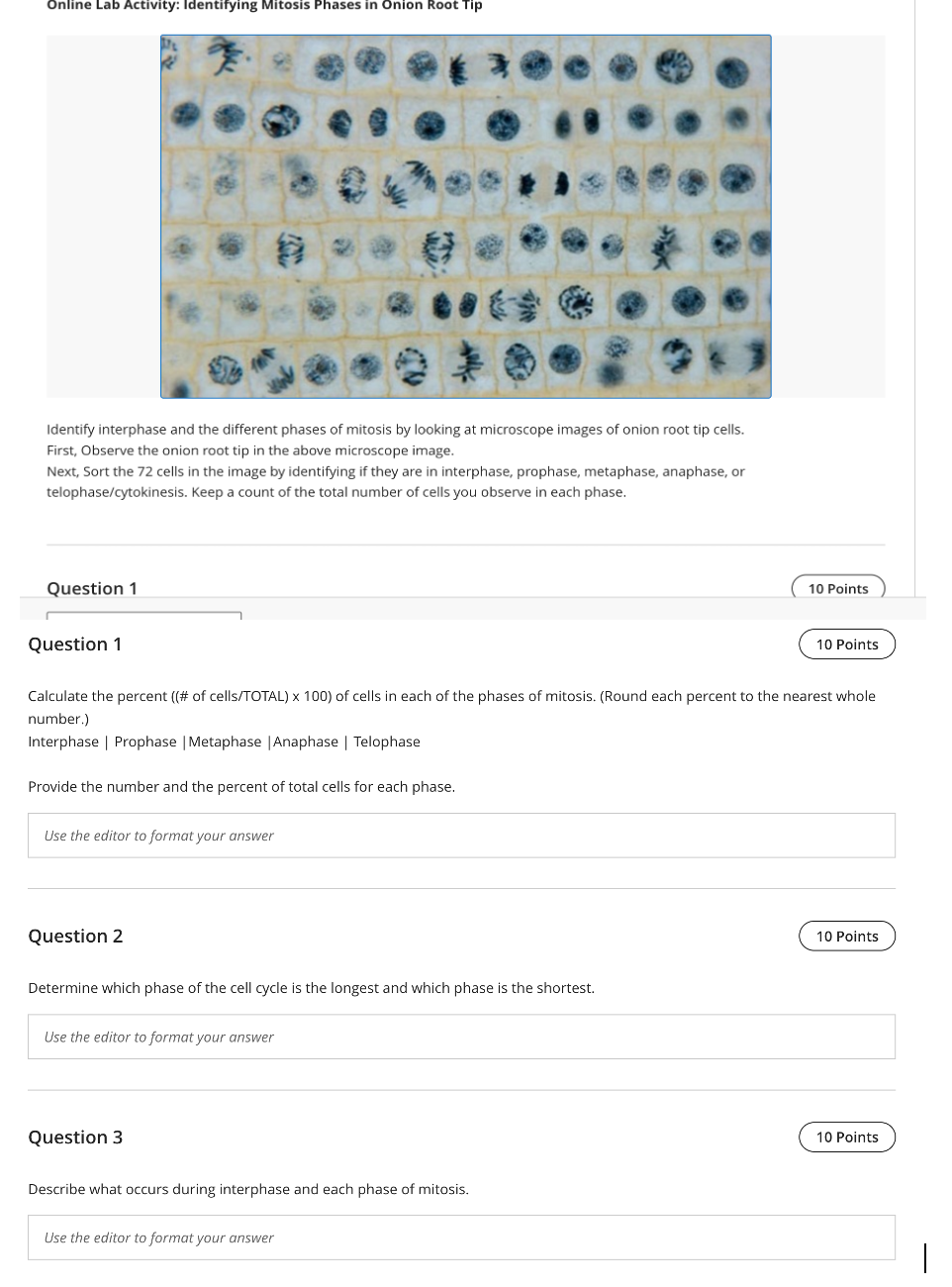 Solved Identify interphase and the different phases of | Chegg.com