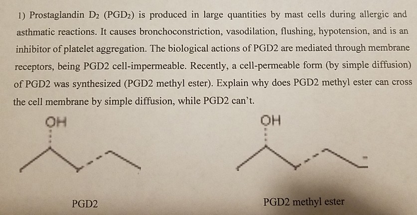 Solved 1) Prostaglandin D2 (PGD2) is produced in large | Chegg.com