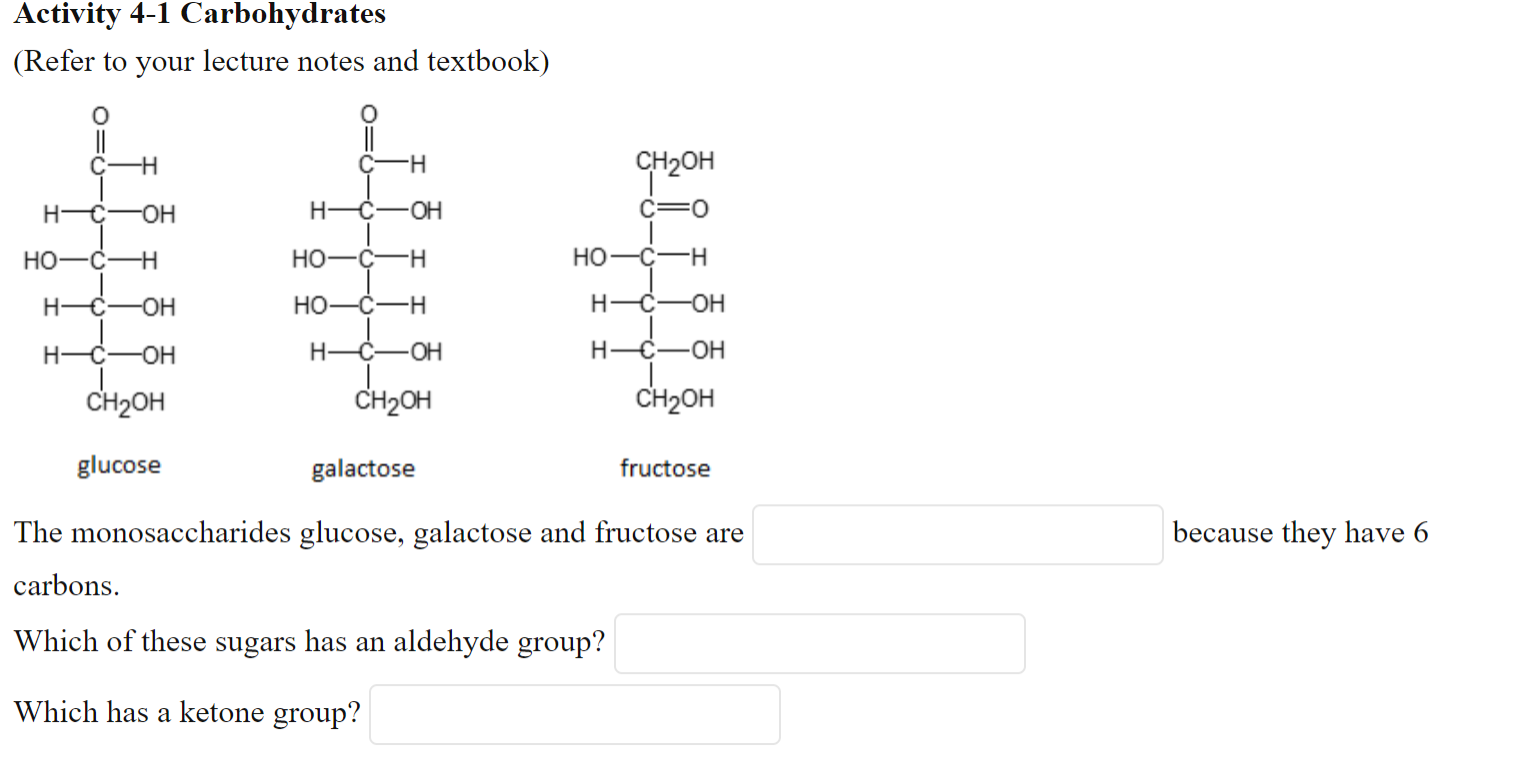 Solved The molecules of life are carbon-based molecules. | Chegg.com