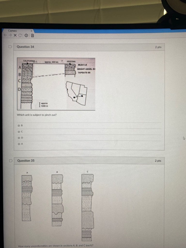 Canvas > X N Mud cracks Ripple marks Cross bedding | Chegg.com