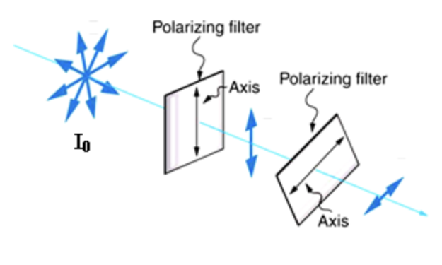 Unpolarized light passes through two Polaroid sheets. | Chegg.com