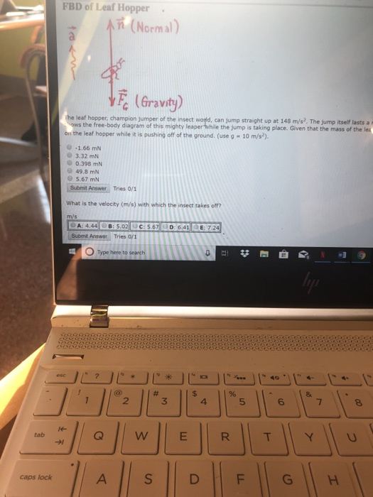 FBD of Leaf Hopper- ii (Normal) F (Gravity leaf | Chegg.com