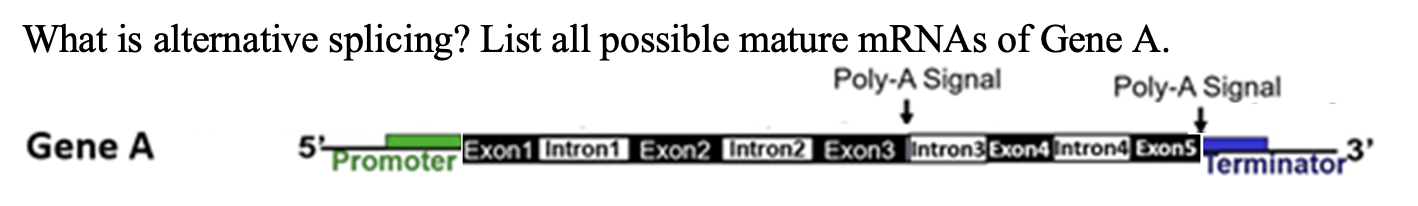 Solved What is alternative splicing? List all possible | Chegg.com