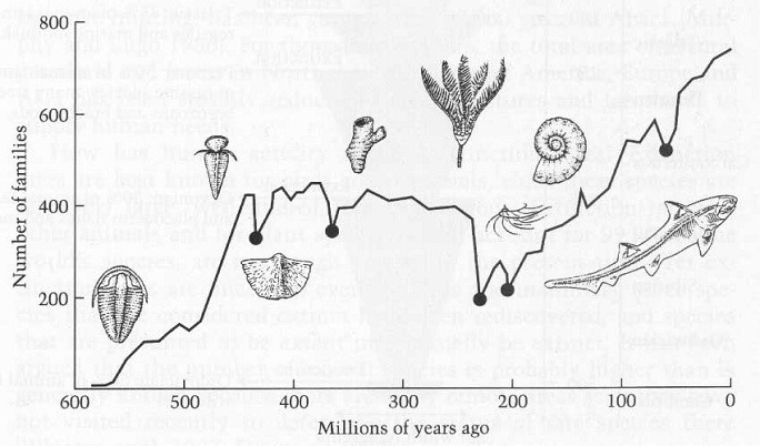 Solved 6) The graph below shows the history of multicellular | Chegg.com