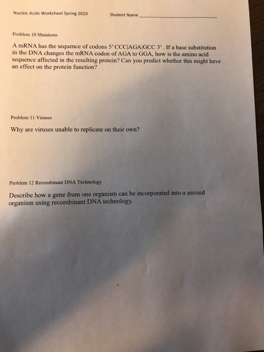 Solved Nucleic Acids Worksheet Spring 2019 Student Name | Chegg.com