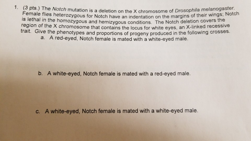 Solved 1. (3 pts.) The Notch mutation is a deletion on the X | Chegg.com