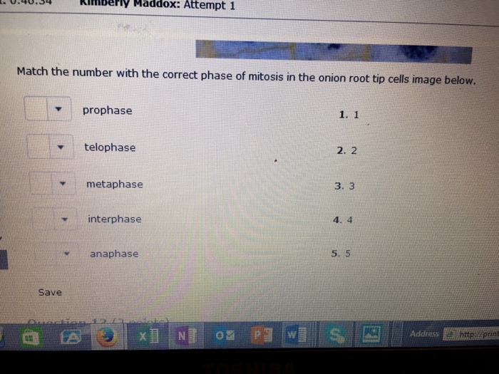Solved Question 12 (5 points) 3 2 1. 5. 4 Match the number | Chegg.com Solved Question 12 (5 points) 3 2 1. 5. 4 Match the number | Chegg.com