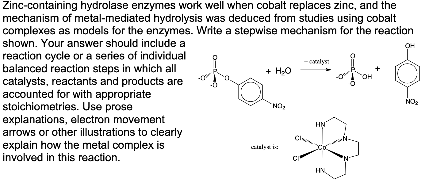 Zinc-containing hydrolase enzymes work well when | Chegg.com