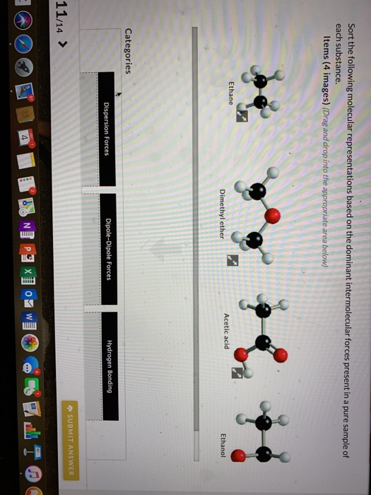 Solved Sort the following molecular representations based on | Chegg.com