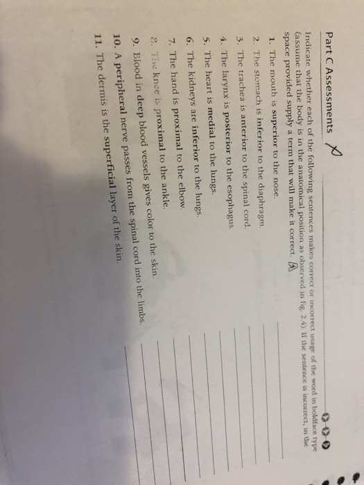 Solved Part C Assessments Indicate whether each of the | Chegg.com