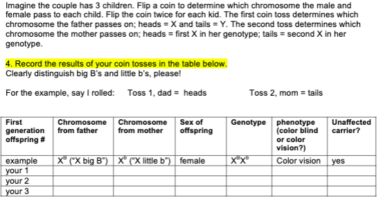 Solved Now you will use coin tossing to simulate how alleles | Chegg.com