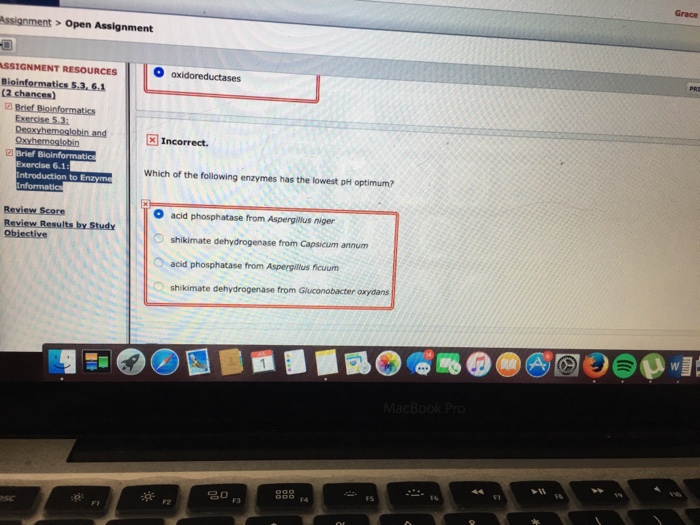 Solved Grace Assignment> Open Assignment SSIGNMENT RESOURCES | Chegg.com