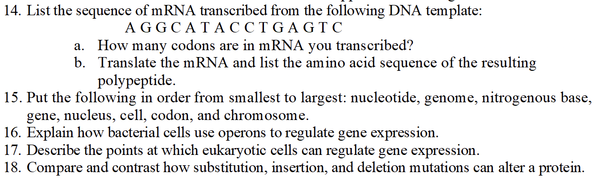 Solved 14. List the sequence of mRNA transcribed from the | Chegg.com