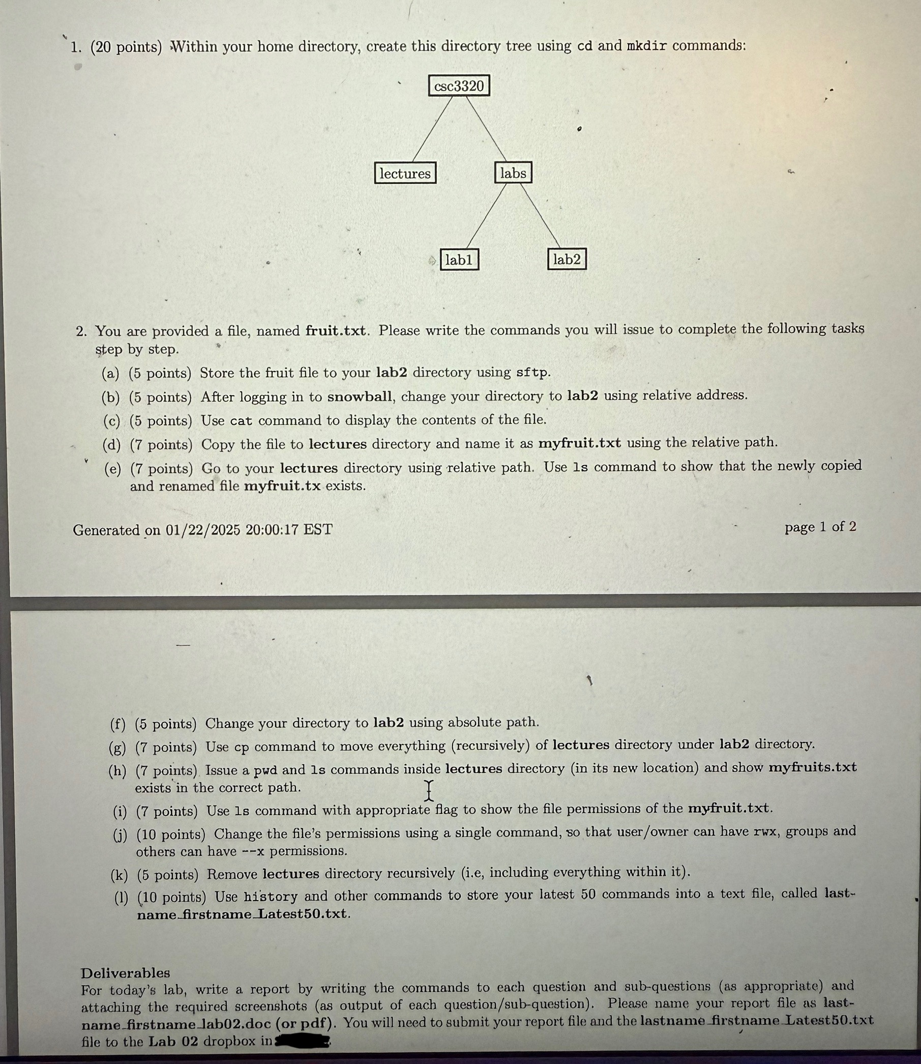 1. (20 ﻿points) ﻿Within your home directory, create | Chegg.com