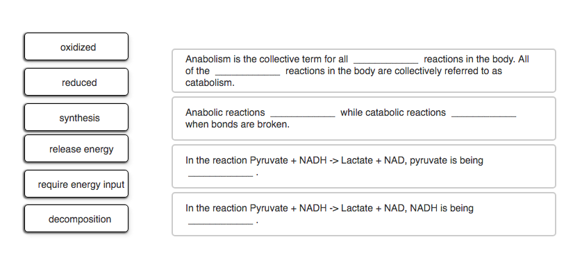 Solved oxidized Anabolism is the collective term for all | Chegg.com