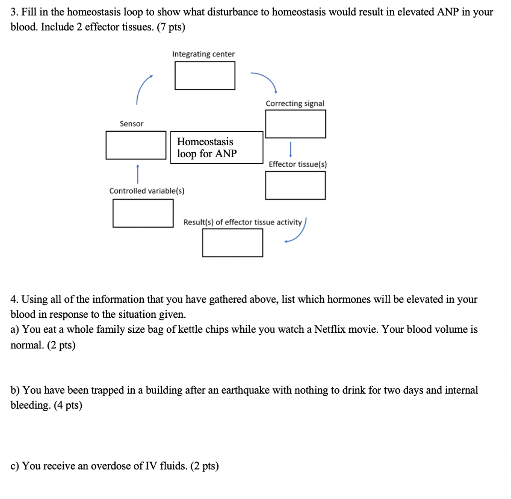 Solved 3. Fill in the homeostasis loop to show what | Chegg.com