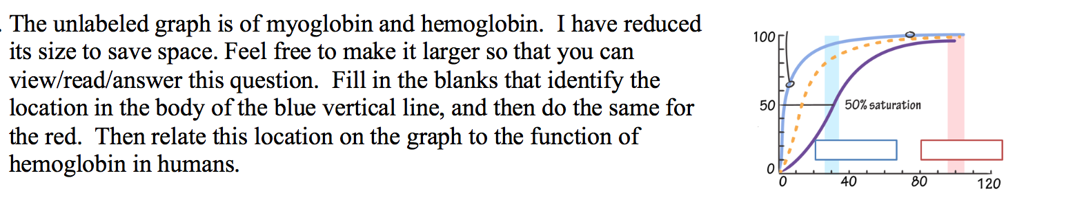 Solved Locos - The unlabeled graph is of myoglobin and | Chegg.com