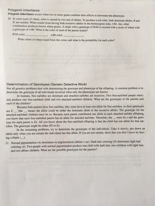 Solved Polygenic Inheritance Polygenic inheritance occurs | Chegg.com