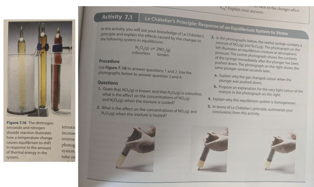 Solved In this activity, you will use your knowledge of Le | Chegg.com