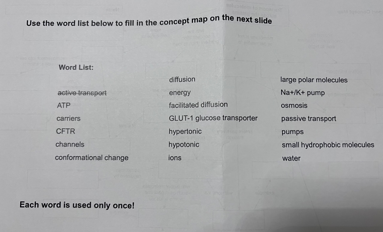 Solved 11= 1=111=−1±15=Use the word list below to fill in | Chegg.com