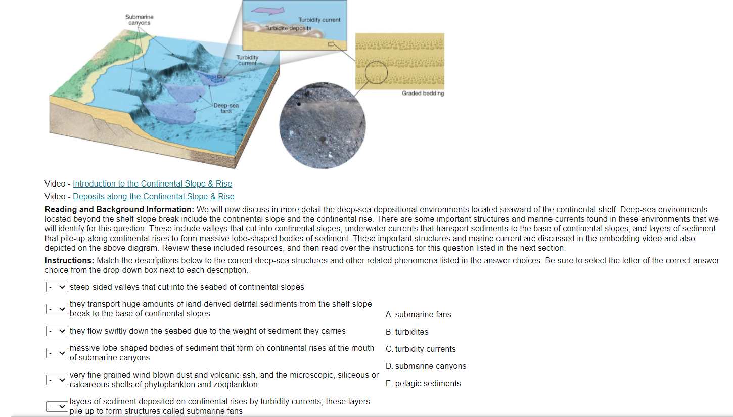 Solved Submarine canyons Turbidity current Turbidite | Chegg.com