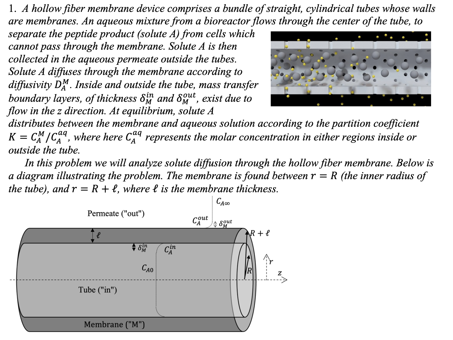 Solved 1. A hollow fiber membrane device comprises a bundle | Chegg.com