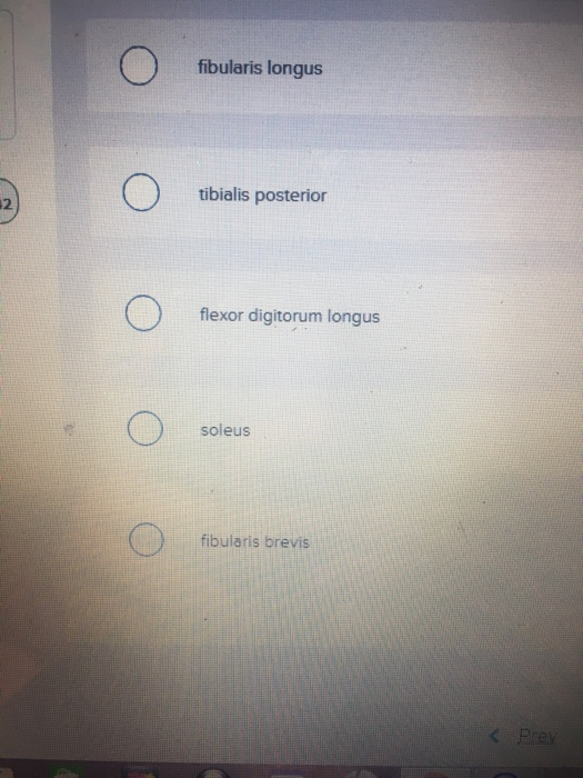 Solved Which structure is highlighted? Multiple Choice | Chegg.com